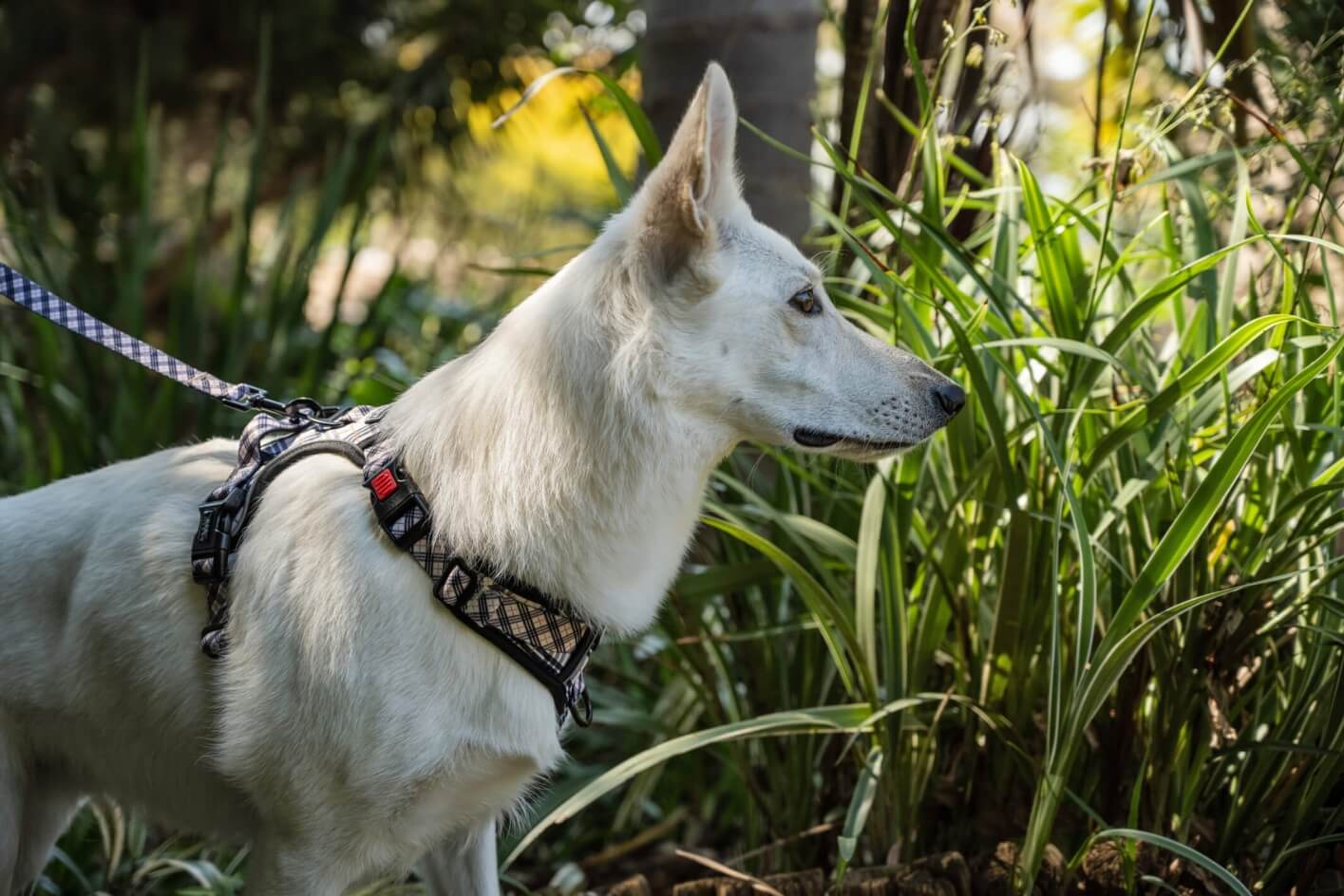 Bee Lovett | Bee Lovett